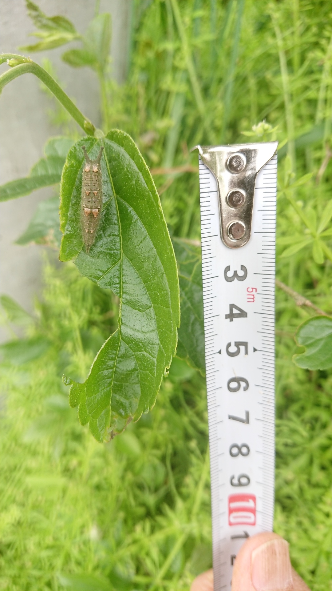 2023/4/18: BELOVED GERDEN～ATELIER BRUN