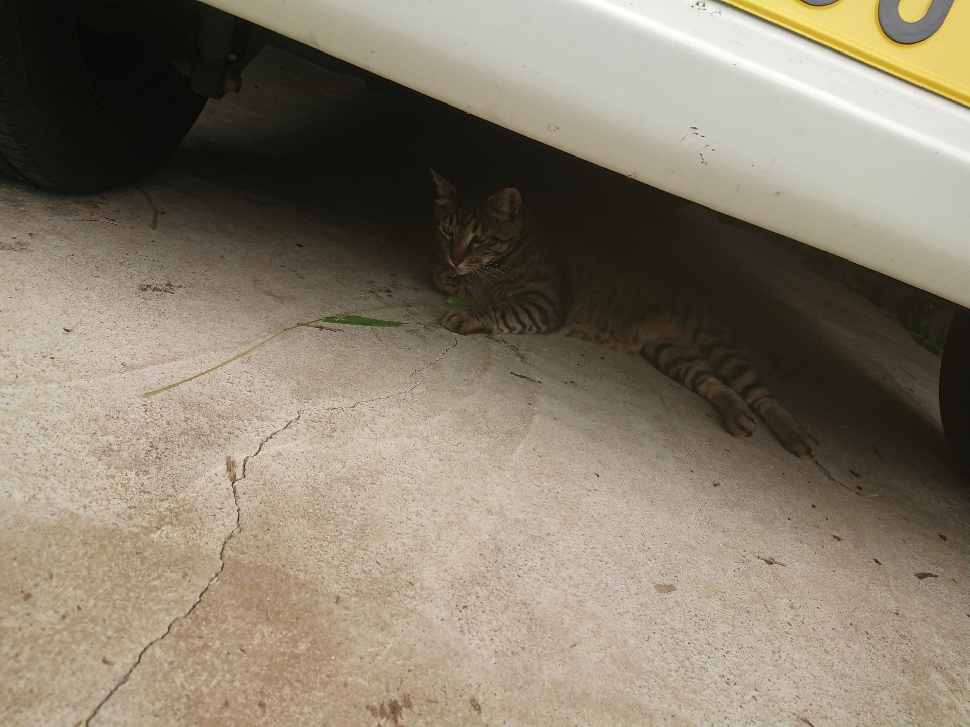 2023/8/16: BELOVED GERDEN～ATELIER BRUN